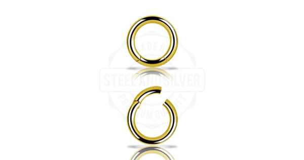 Steel and Silver : BG-BHSR-06GA