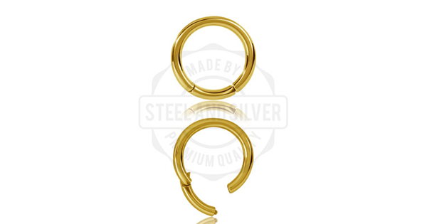 Steel and Silver : BG-BHSR-20GA