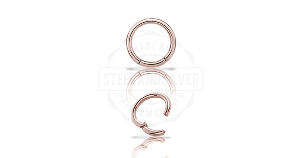 Steel and Silver : RG-BHSR-12GA